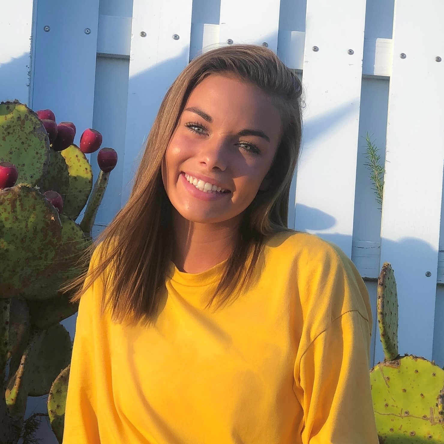 Wilmington Providing Caregivers | Griswold