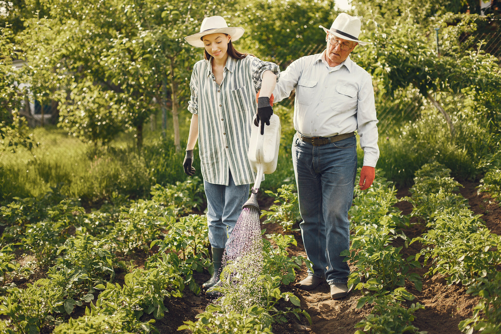 Yard Work Help for Seniors | Griswold Home Care
